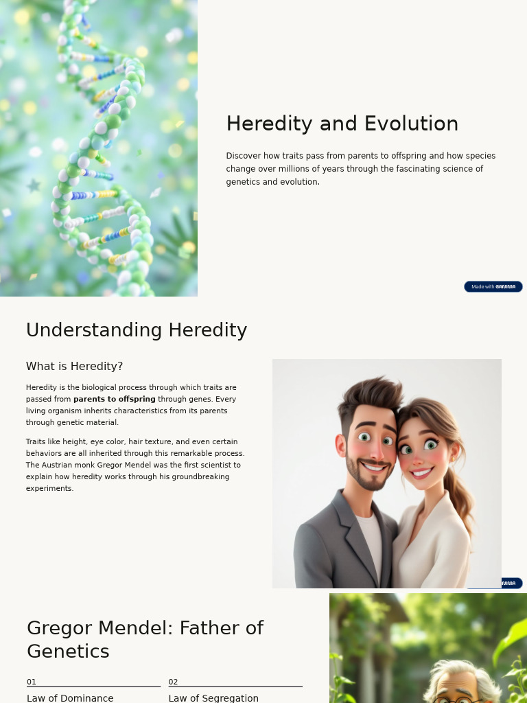 Heredity and Evolution | PDF | Dominance (Genetics) | Genotype