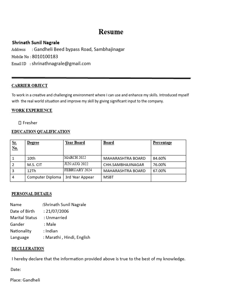Shrinath Resume 1 | PDF