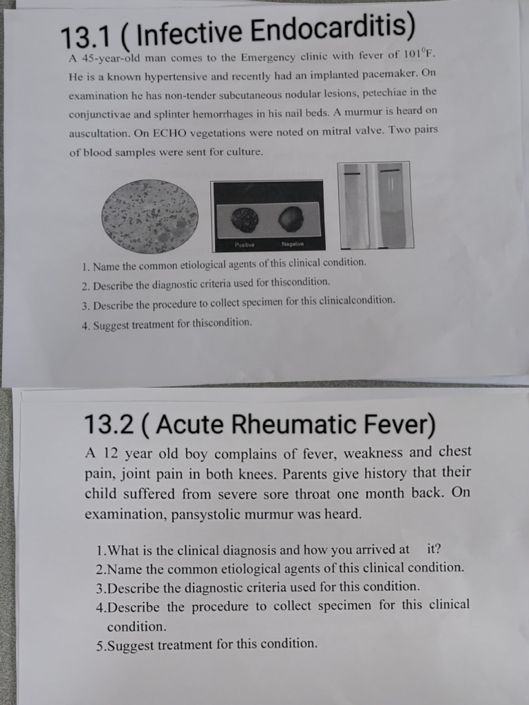 Microbiology Charts | PDF | Sepsis | Medical Diagnosis