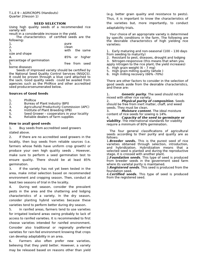 Seed Selection for High-Yield Rice | PDF | Seed | Rice