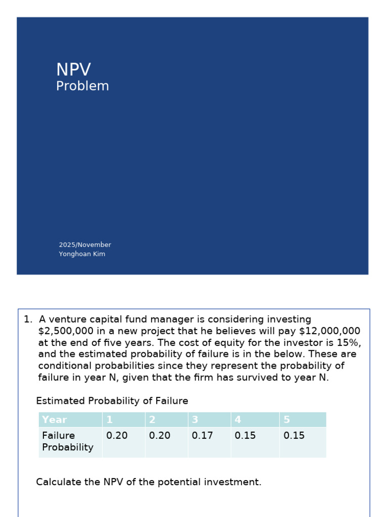 NPV Problem | PDF