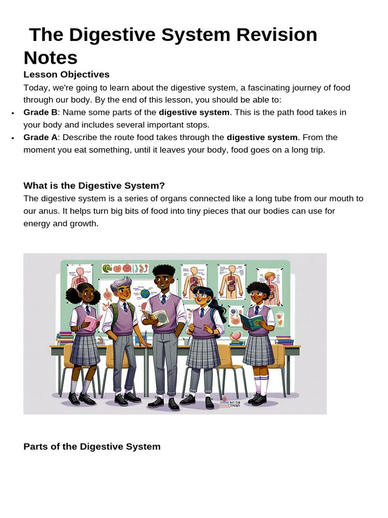 Revision Note - Digestive System | PDF