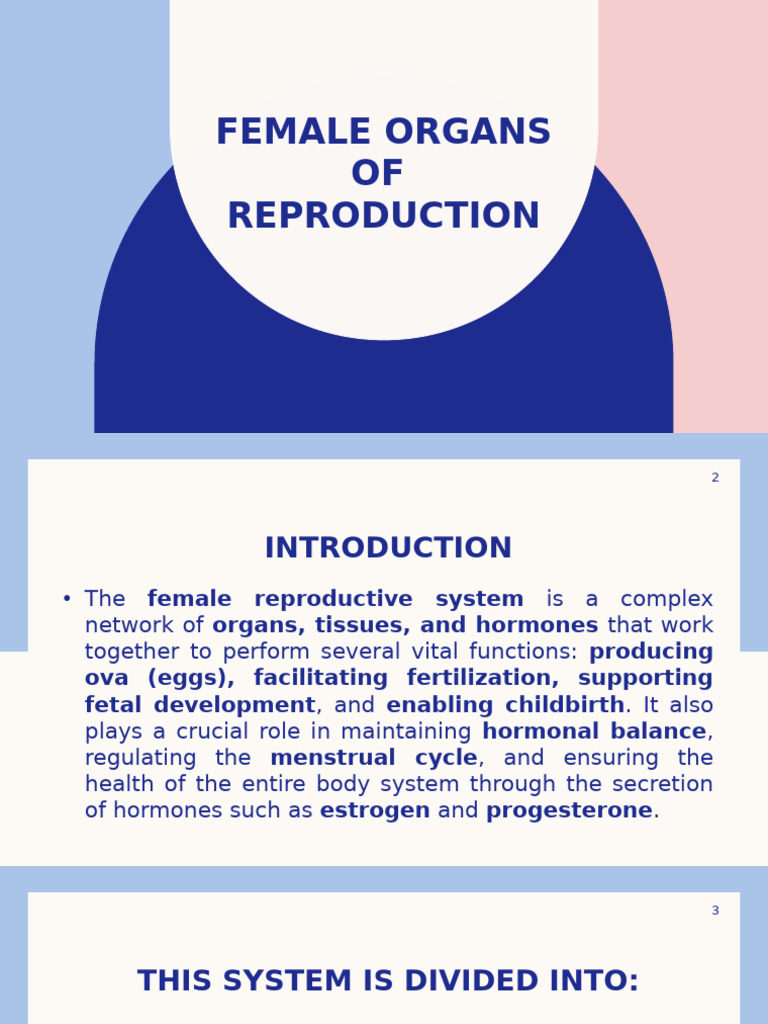 Female Organs of Reproduction | PDF | Menstrual Cycle | Labia