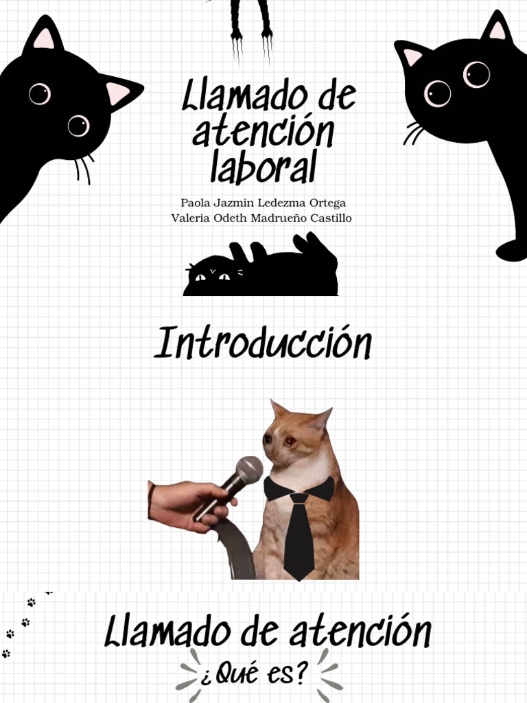 Tipos y Manejo de Llamados de Atención Laboral | PDF
