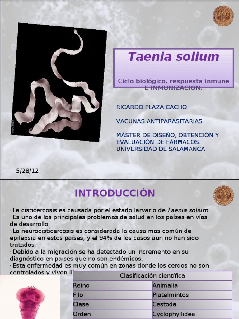 Taenia solium | Anticuerpo | Inflamación