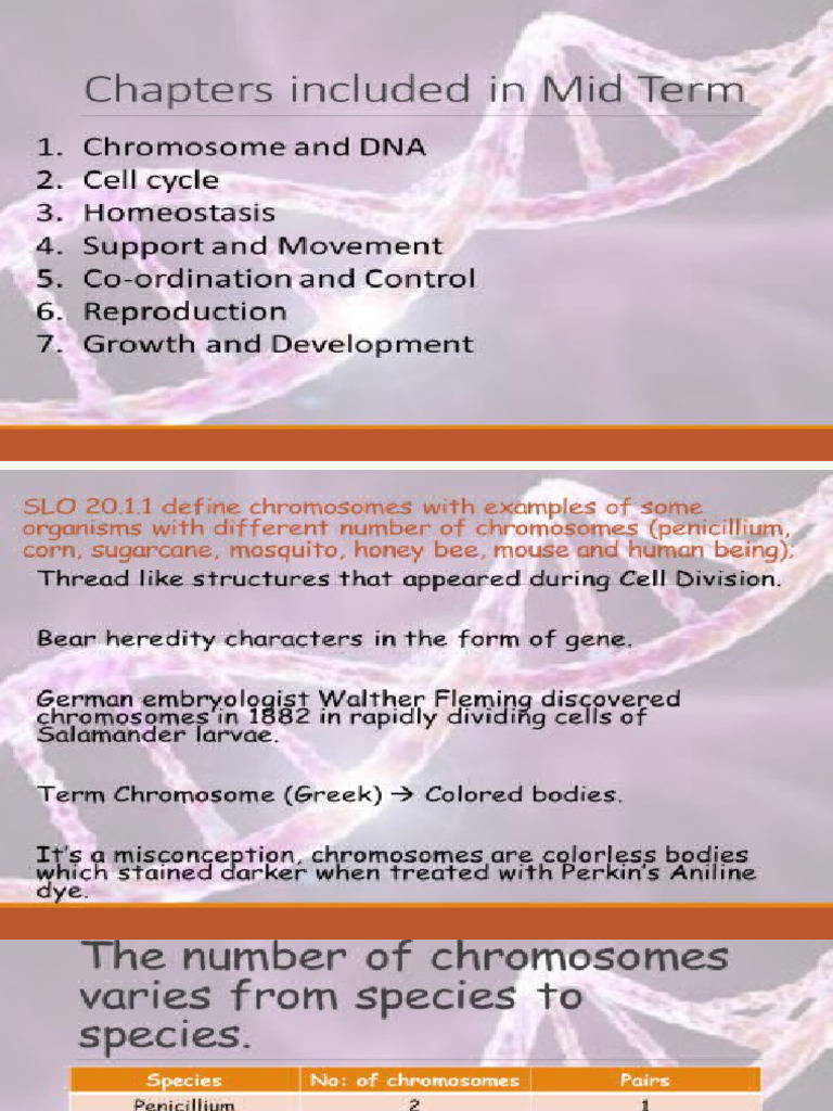 Chromosomes and DNA (Part 1) | PDF