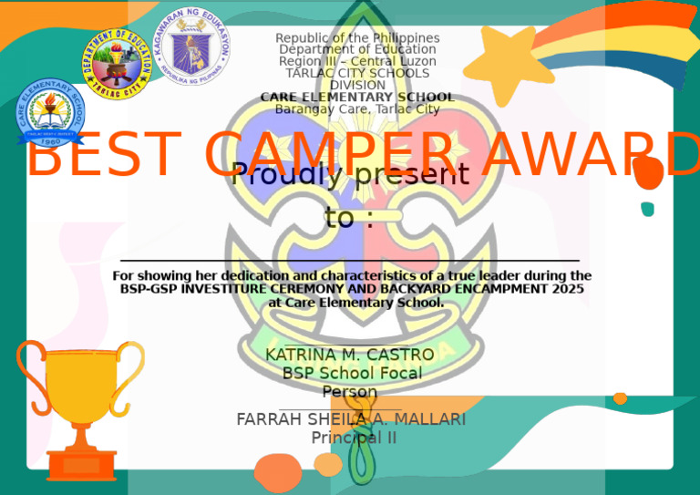 BSP GSP Certificate | PDF