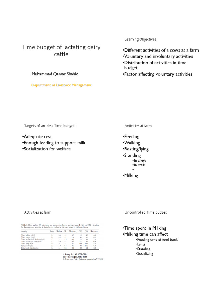 Time Budget for Lactating Dairy Cattle | PDF | Dairy Cattle | Cattle