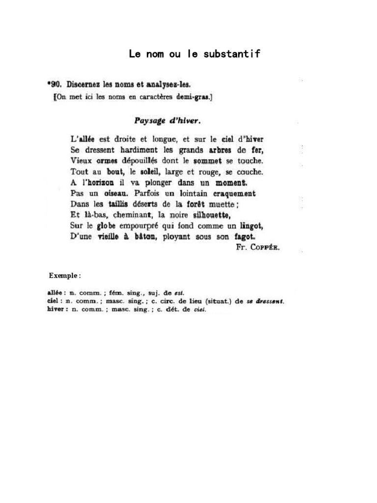 Le Nom Ou Le Substantif | PDF