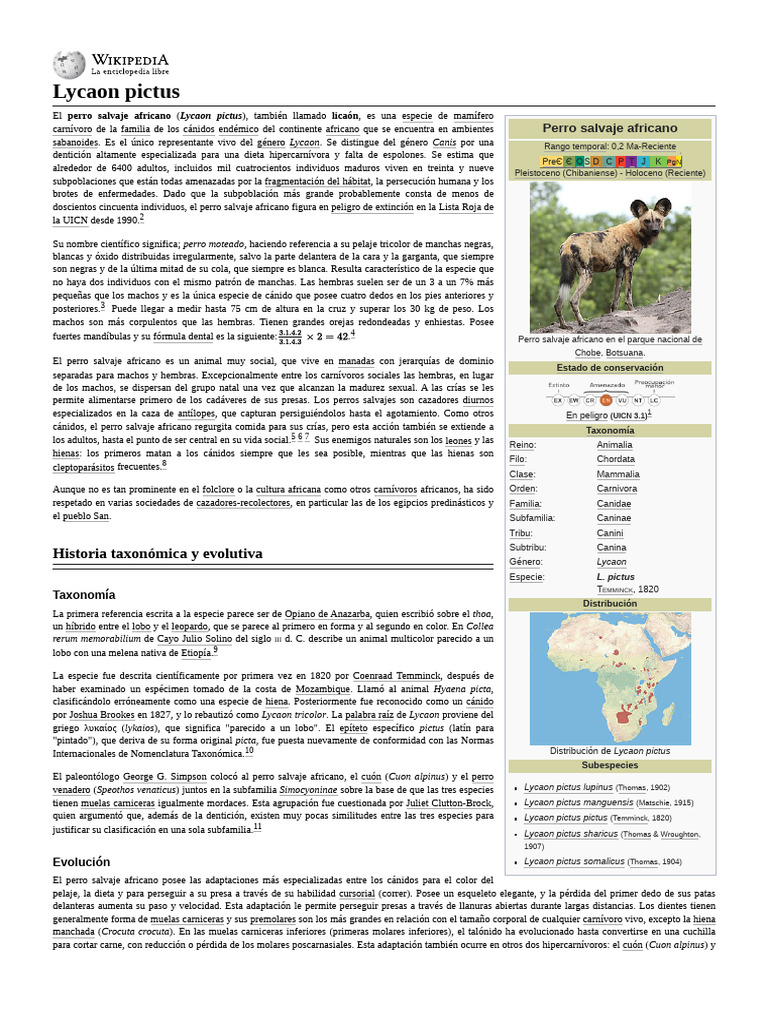 Perro salvaje africano: características y conservación | PDF | Zoología