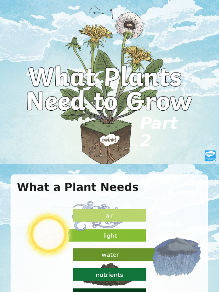 Plant Growth: Germination Essentials | PDF