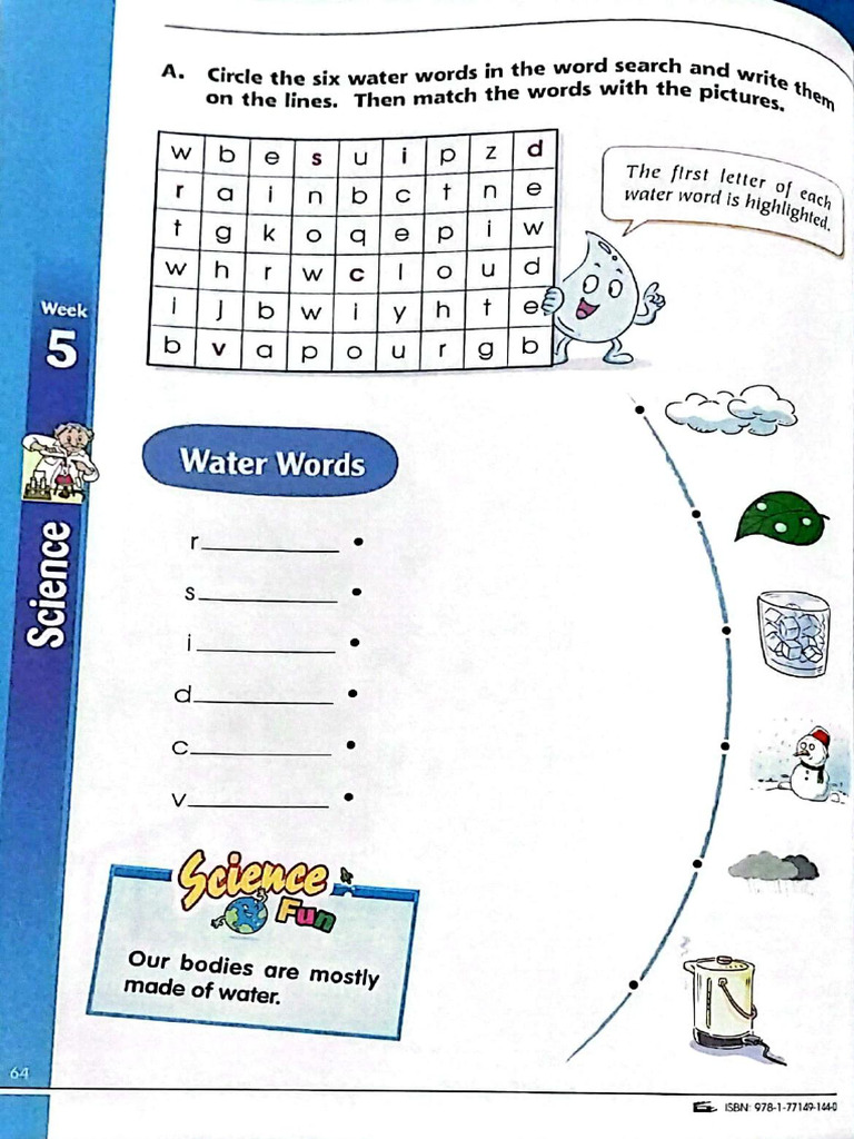 Week 5 Science | PDF