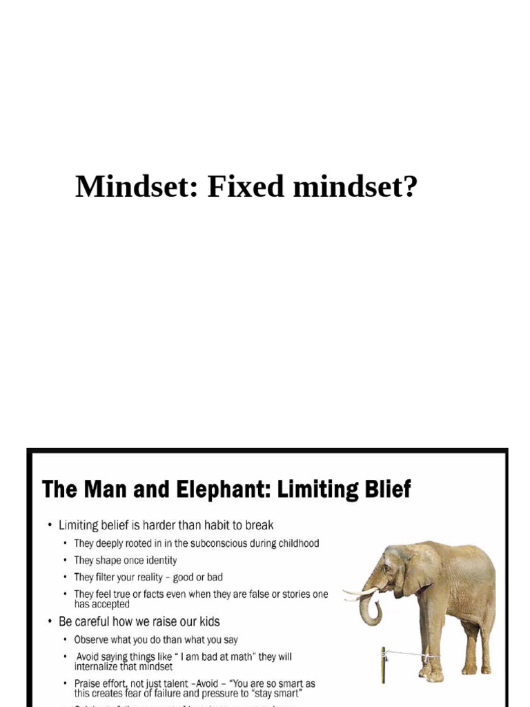 Mindset | PDF