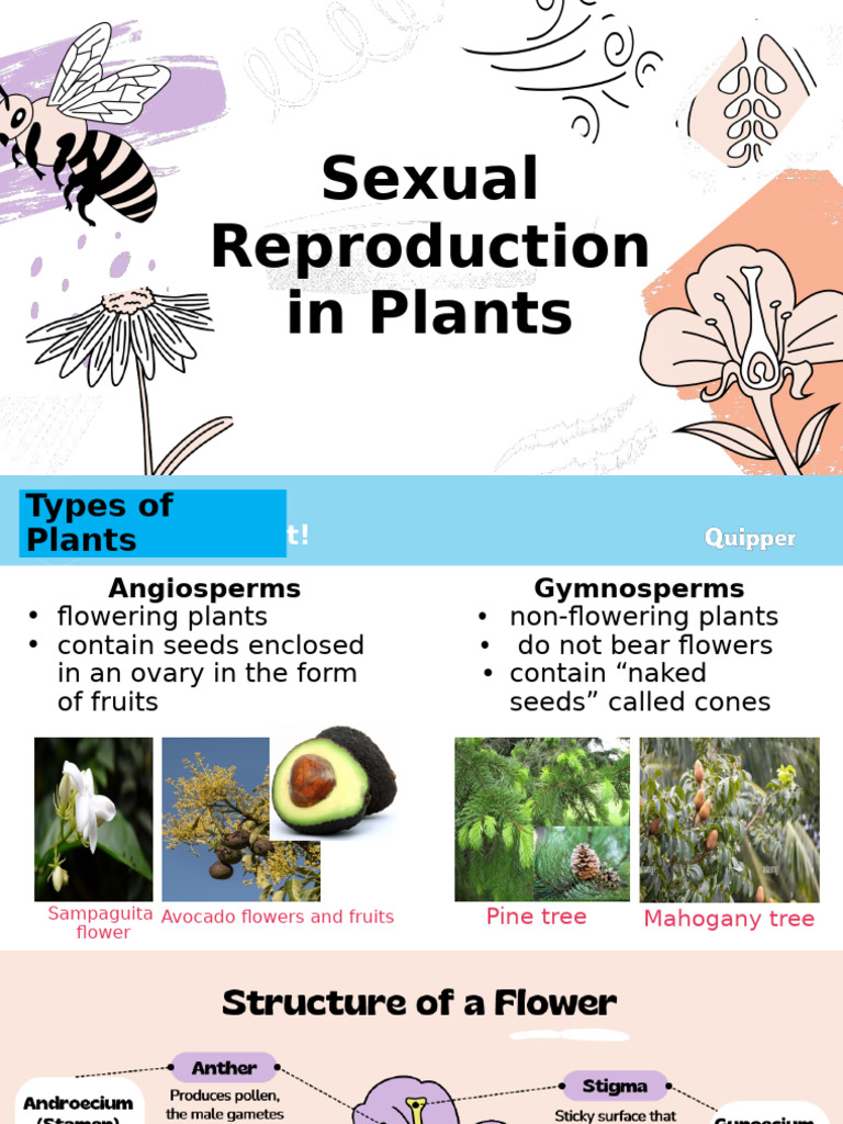 Sexual Reproduction in Plants | PDF