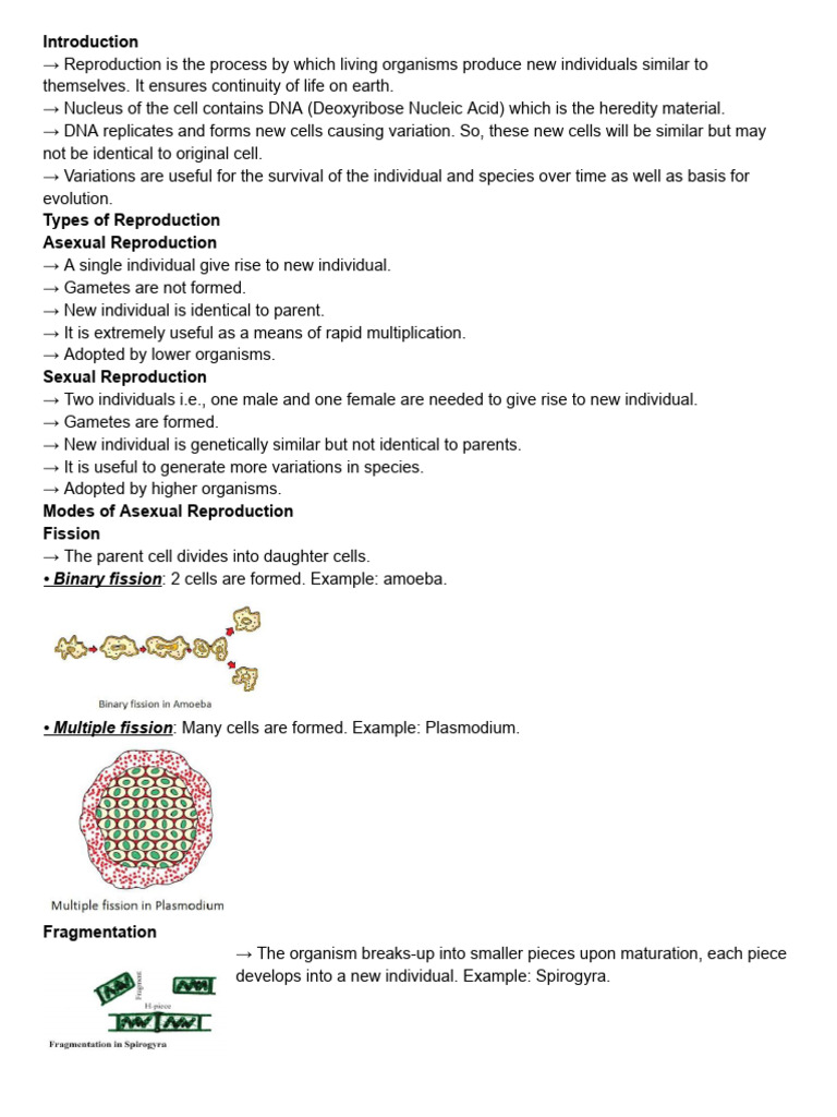 How Do Organisms Reproduce | PDF | Flowers | Fertilisation
