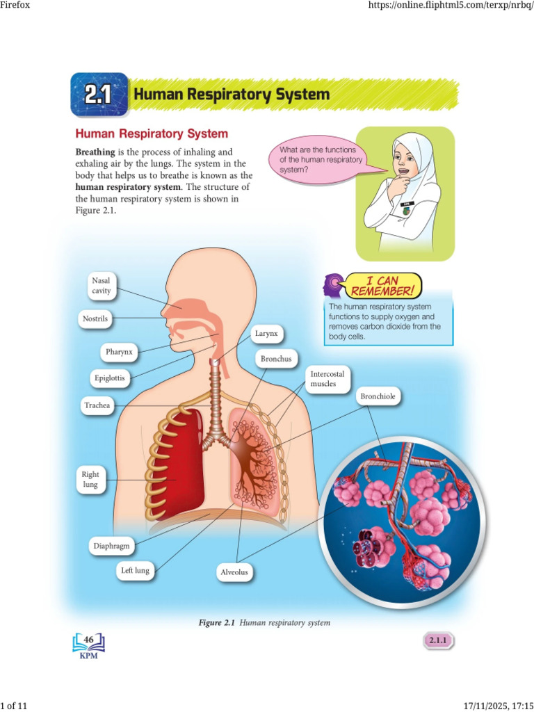 Textbook Form 3 Science - p46-56 | PDF