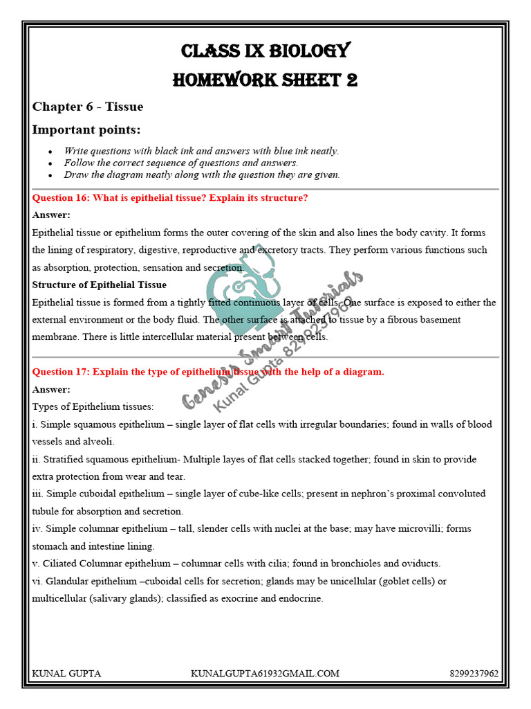 CLASS IX BIOLOGY Chapter 6 - Tissue - HOMEWORK SHEET 2 | PDF ...