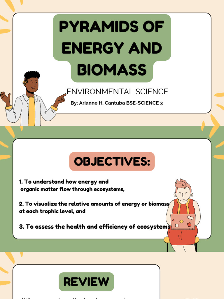 Energy and Biomass Pyramids Explained | PDF | Food Web | Ecosystem
