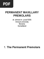 Morphology of Permanent Maxillary 3rd Molar | PDF | Dental Anatomy ...