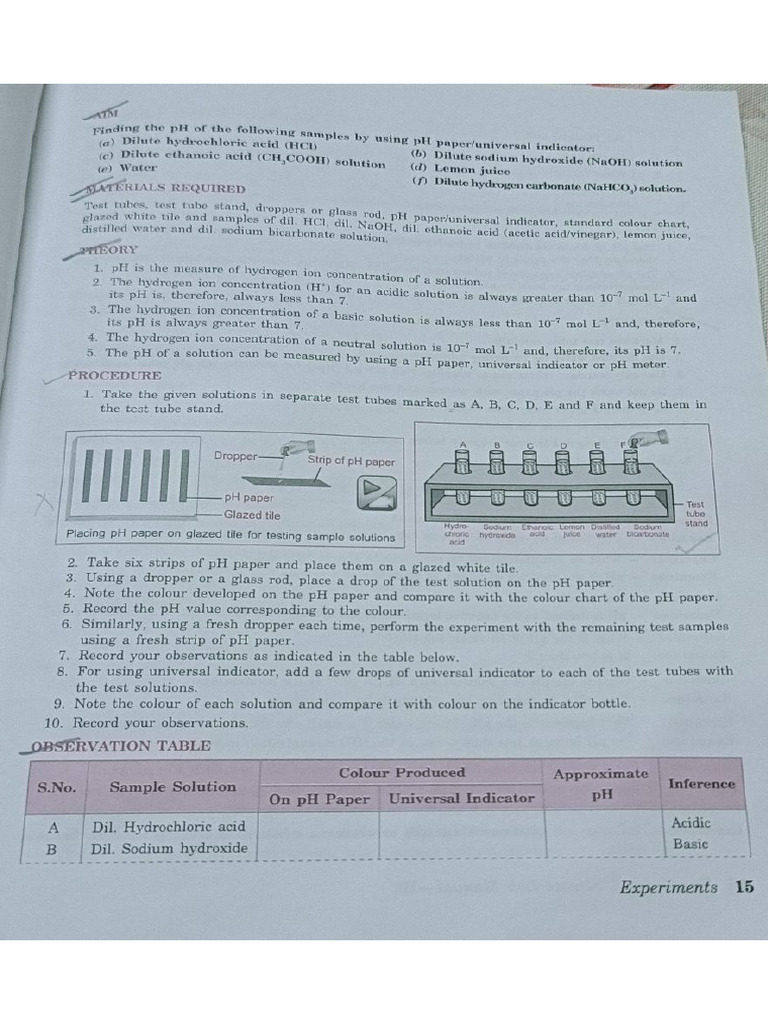 Class 10 Practicals | PDF