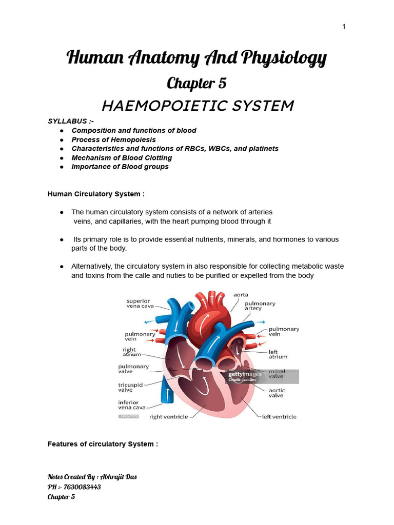 Human Anatomy and Physiology CH 5 Printed Notes | PDF | Circulatory ...