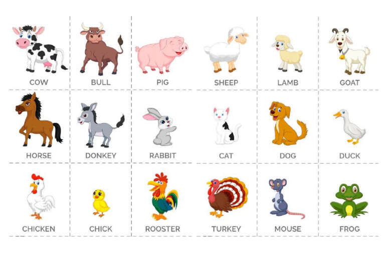 Animals Pictionary | PDF