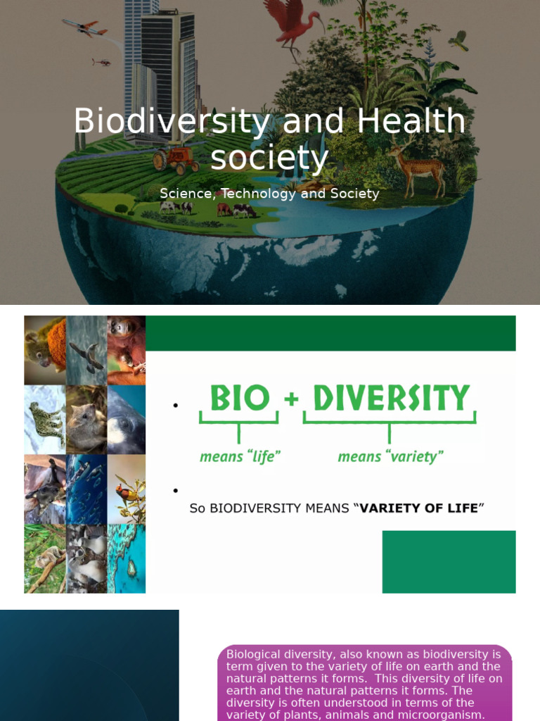 Biodiversity's Impact on Health and Food | PDF | Biodiversity | Genetic ...