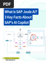 SAP BTP Expert Competency Framework | PDF