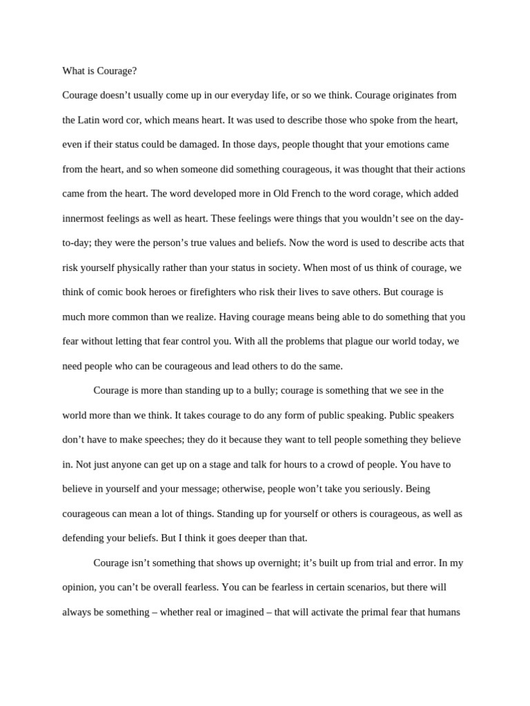 UMD Essay: Lukas Marraccini | PDF | Courage | Fear