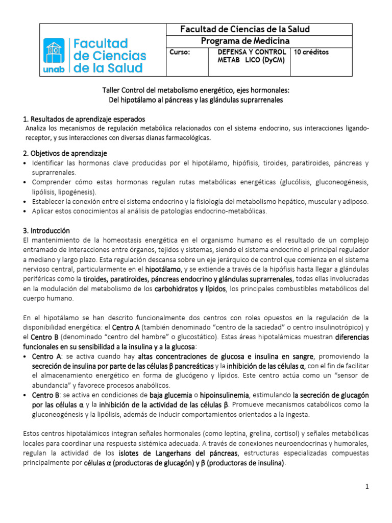 Taller Metabolismo Energético DCM (1) | PDF | Insulina | Hormona