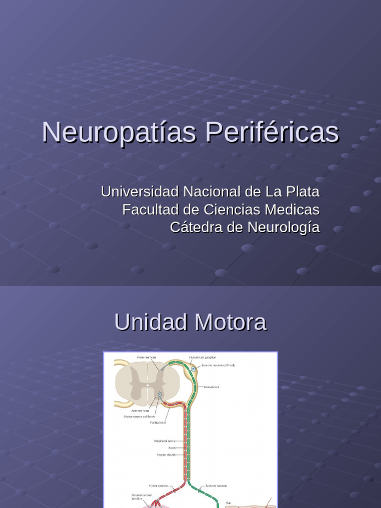 Neuropatias - Perifericas 3 | PDF | Mielina | Desórdenes neurológicos