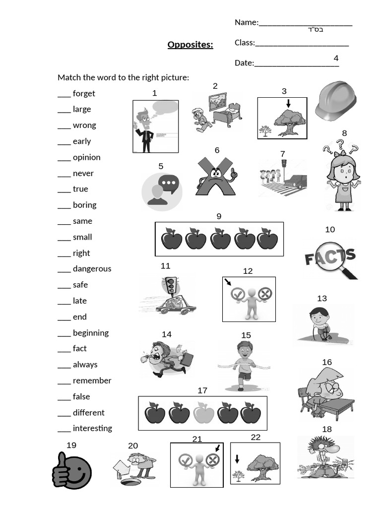 Opposites Practice | PDF