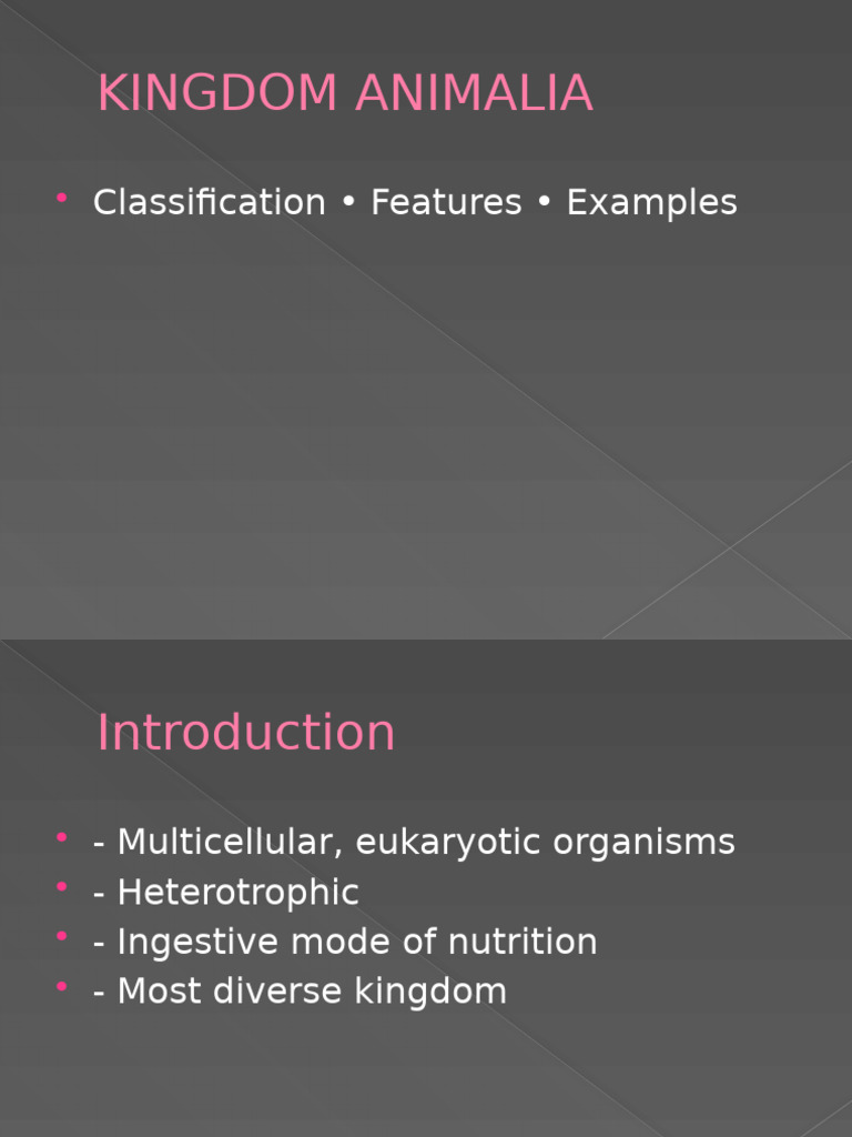 Overview of Animal Kingdom Classification | PDF