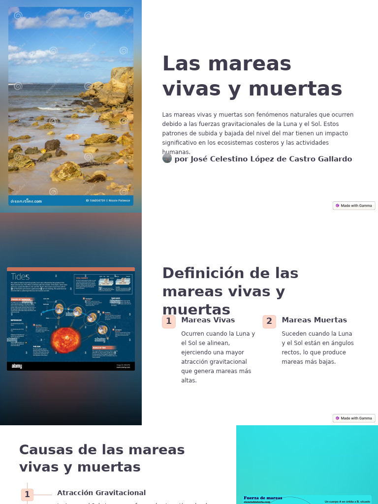 Las Mareas Vivas y Muertas | PDF | Marea | Costa