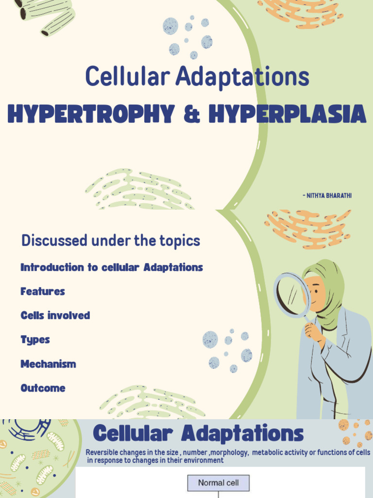 Hypertrophy and Hyperplasia 20251105 213012 0000 | PDF | Skeletal ...