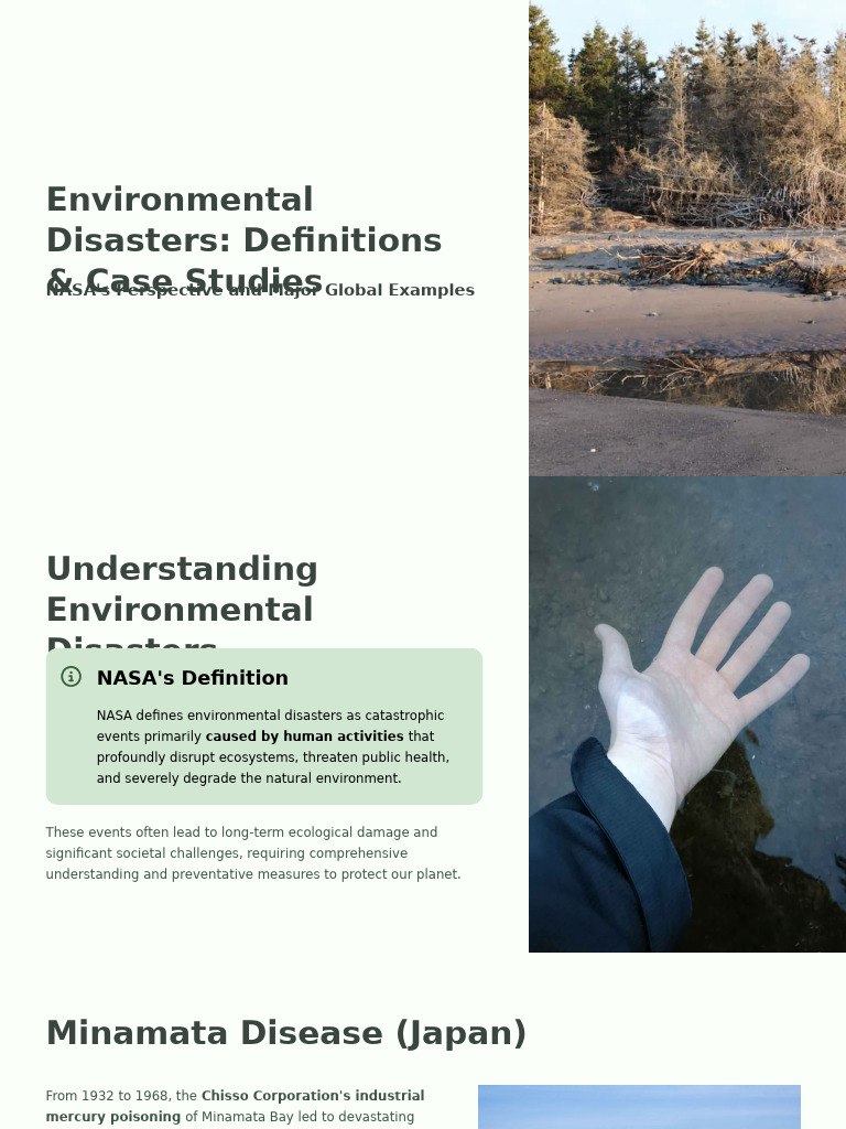 Environmental Disasters Definitions and Case Studies | PDF | Fukushima ...