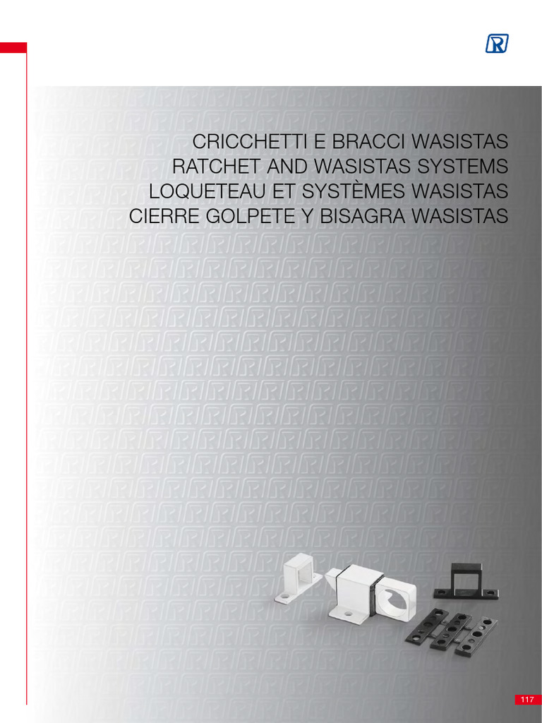 Bracci Wasistas | PDF
