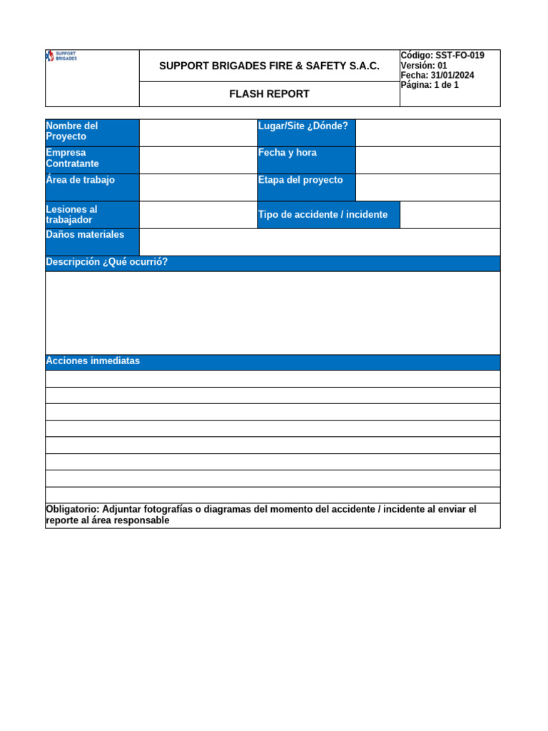 Sst-Fo-19 Flash Report V01 | PDF
