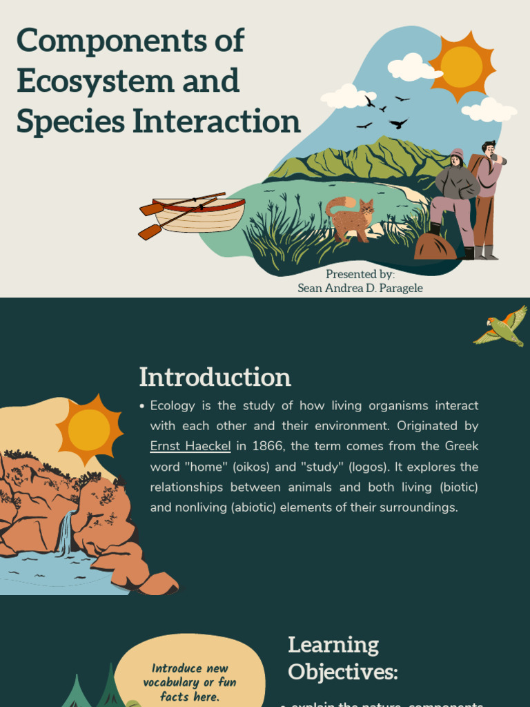 Components of Ecosystem | PDF | Ecosystem | Predation