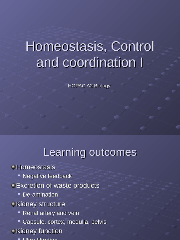 Homeostasis I | PDF | Kidney | Organ (Anatomy)