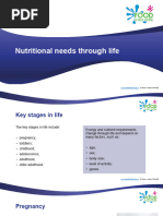 Iteration in Pseudocode | PDF