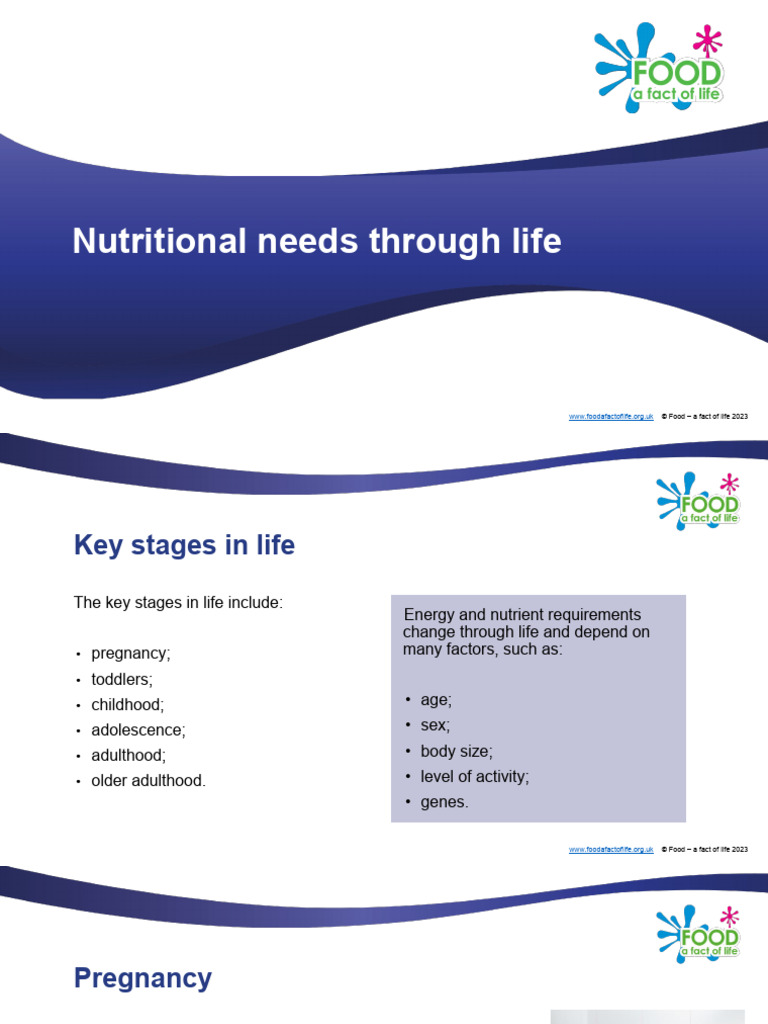 Nutritional Needs Throughout Life | PDF | Body Mass Index | Obesity