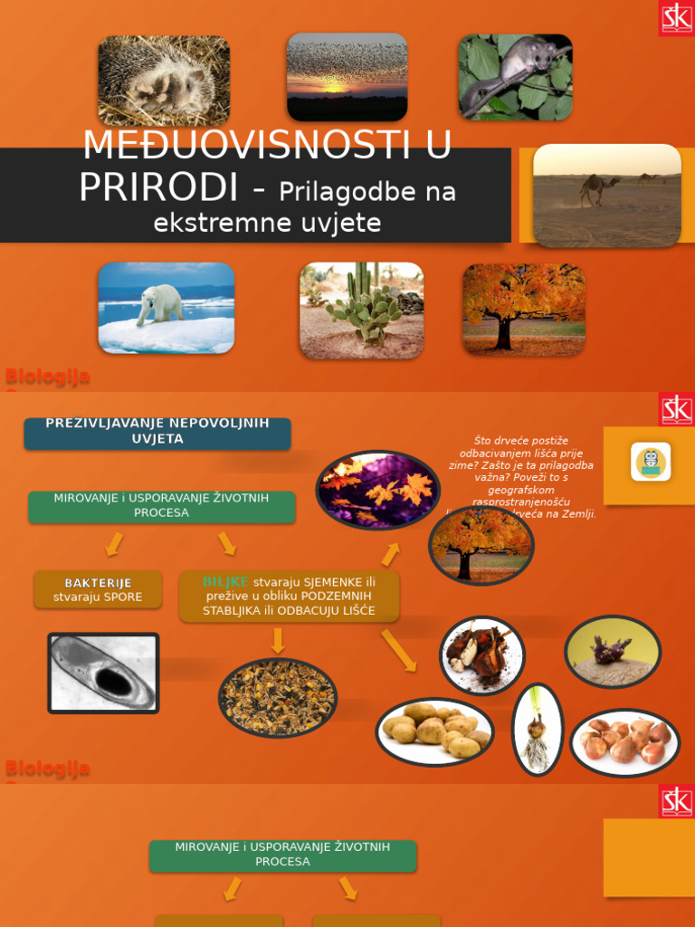 54_MEĐUOVISNOSTI+U+PRIRODI_2 | PDF
