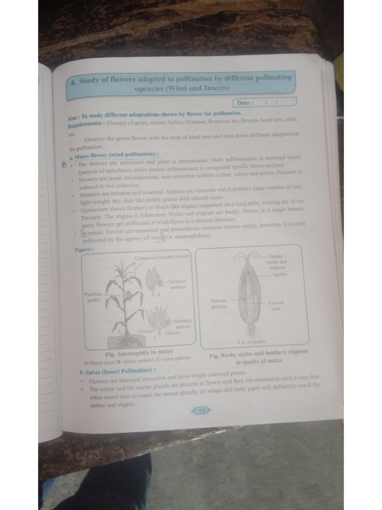 Biology | PDF