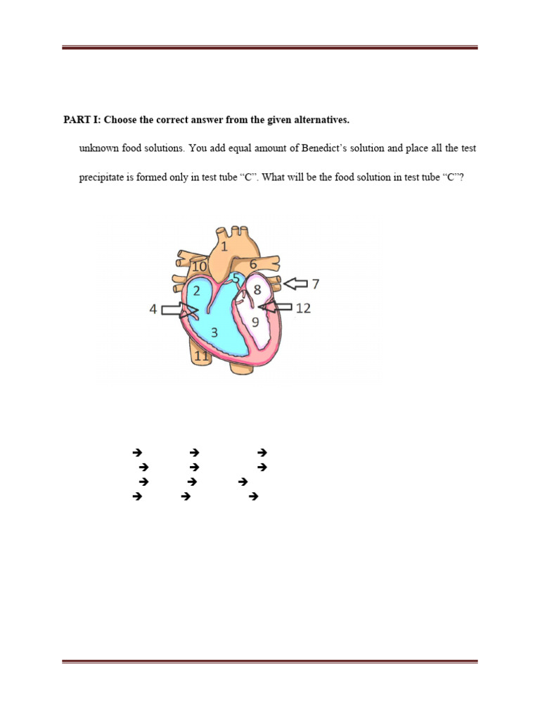 2016 e C G 12 Biology, 1st Sem, 3rd Work Sheet On Human Biology | PDF ...
