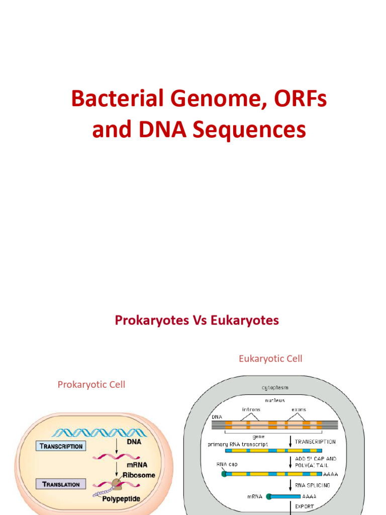 Lec 11 Micro | PDF | Dna Sequencing | Gene