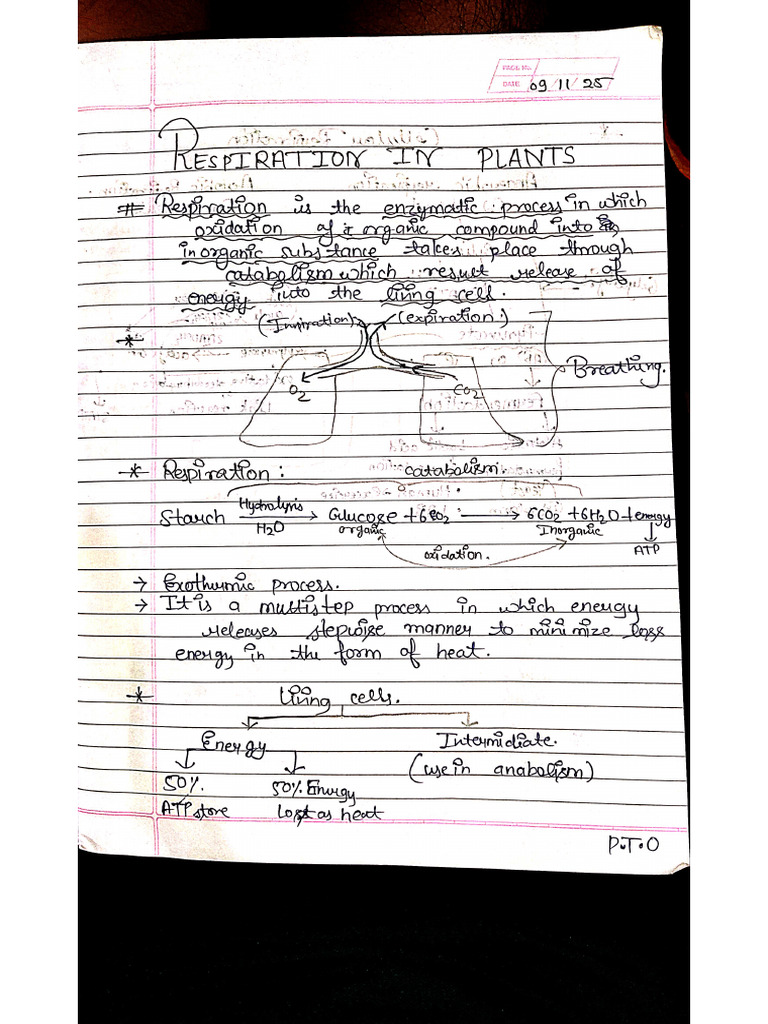 Respiration in Plants | PDF