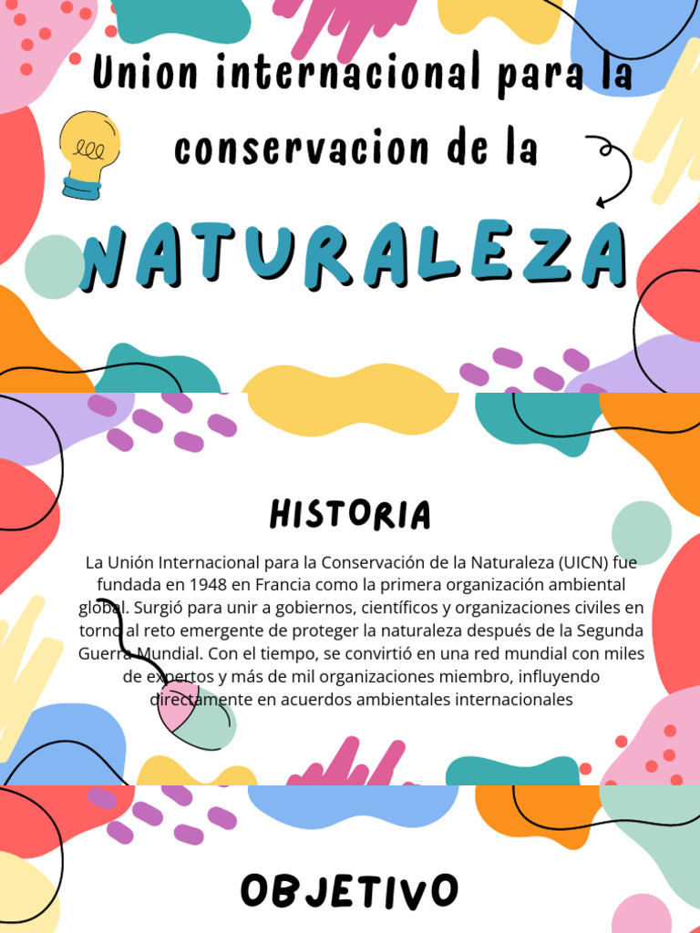 Presentación Diapositivas Propuesta Proyecto Creativo Organico Multicolor | PDF