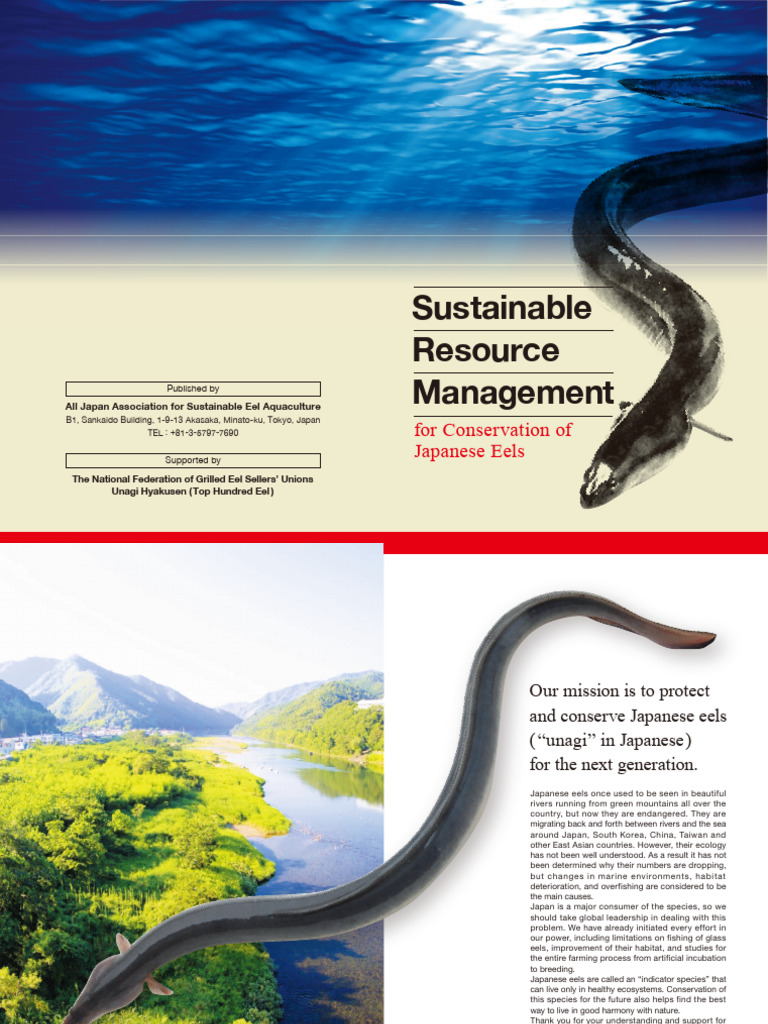Sustainable Conservation of Japanese Eels | PDF | Overfishing