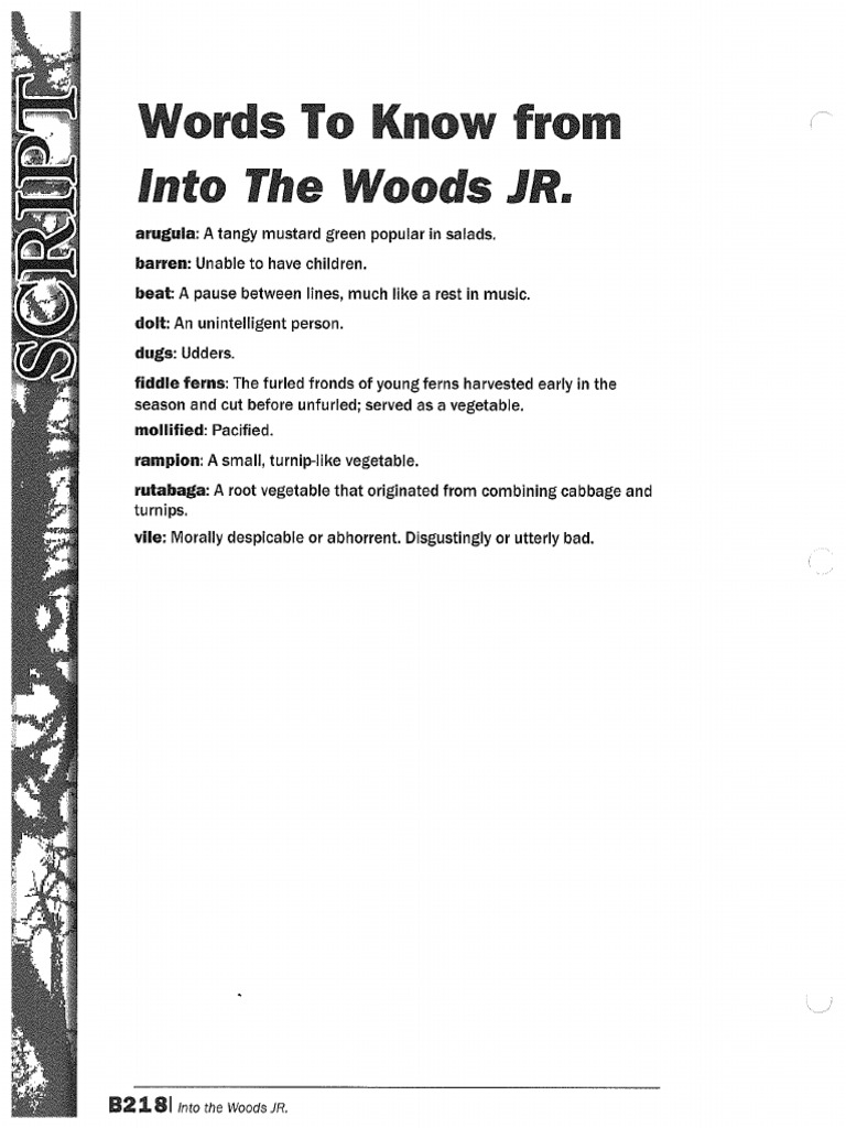 Into The Woods Junior Script | PDF